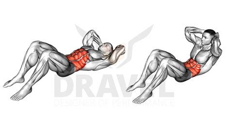 Les Meilleurs Exercices Dabdos Guide Complet Et Programmes Dravel