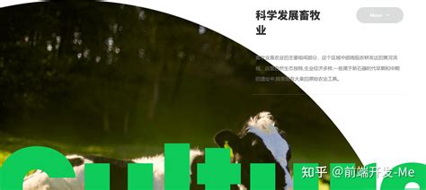 html css js网页设计与制作推荐 知乎