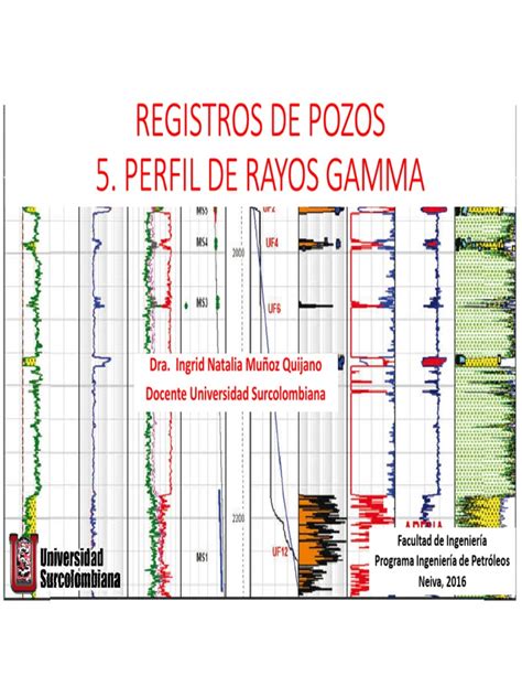 Registros De Pozos Clase 5 Pdf Pdf Desintegración Radioactiva