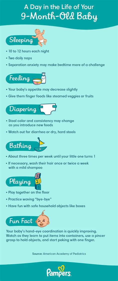 Fetal Development Month 9