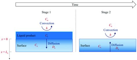 Schematic Representation Of The Model To Predict The Primary Emission Download Scientific