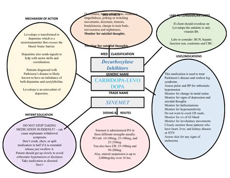 Medication Concept Map Template Medication Concept Map Template
