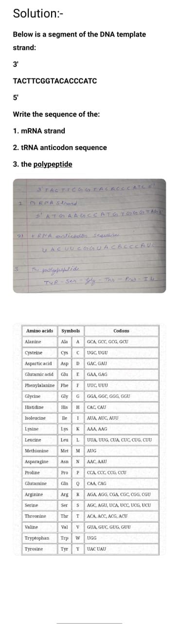 [solved] Below Is A Segment Of The Dna Template Strand 3 Course Hero