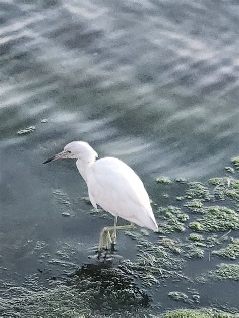 Toni Marie Massage Added A New Photo Toni Marie Massage