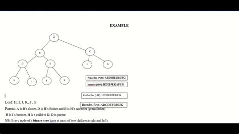 data structures trees binary trees and tree traversal 2 youtube