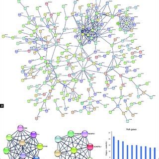 PPI Network And Its Related Modules And Hub Genes A PPI Network B Download Scientific