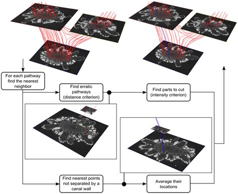 Flowchart Of The Post Processing Download Scientific Diagram