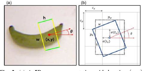 Real Time Highly Accurate Robotic Grasp Detection Using Fully