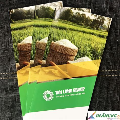 In Brochure Lấy Gấp Lấy Ngay In ấn Lvc