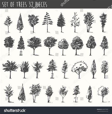 Trees Sketch Set Vintage Illustration Engraved Stock Vector Royalty Free Shutterstock
