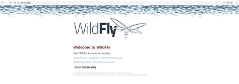 How To Install WildFly Java Application Server With Nginx Reverse Proxy On Ubuntu 20 04