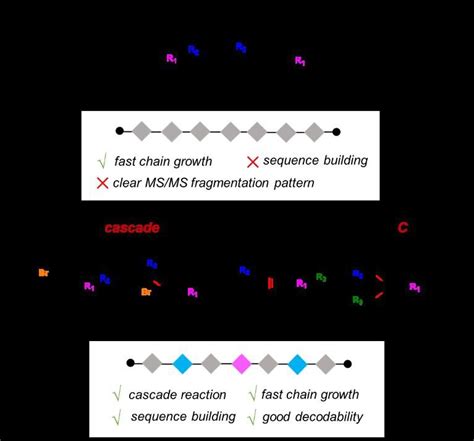 Scheme 1 A Previous Work Discrete Polymers By Tmmc B This Work Download Scientific