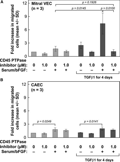 Cd45 Expression In Mitral Valve Endothelial Cells After Myocardial