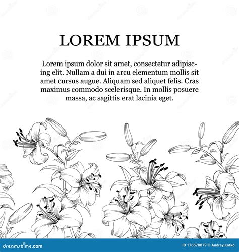 Lily Flowers Border With Text Place Are Isolated On White Background Elegant Vintage Invitation