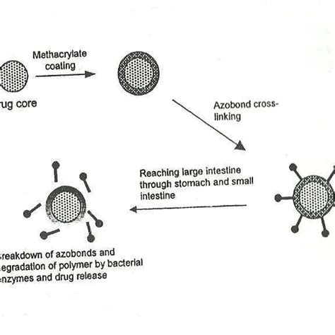 Pdf Colon Targeted Drug Delivery System A Review