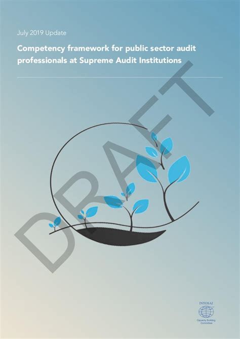 Pdf Competency Framework For Public Sector Audit Professionals