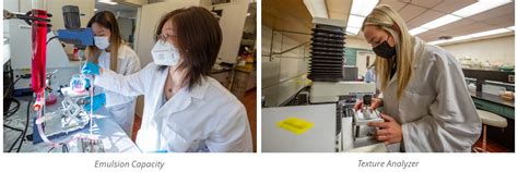 Protein Extraction And Structural And Functional Characterization