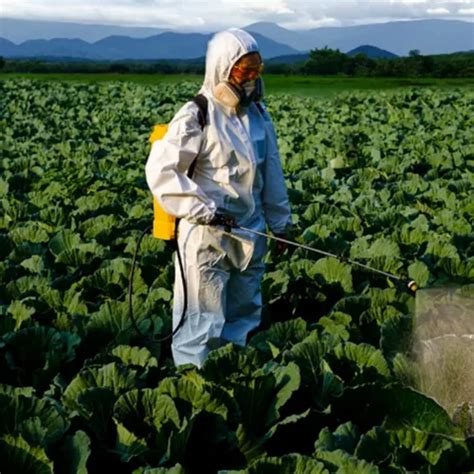 Triazole Fungicides At Best Price In Mumbai By Astec Lifesciences Limited Id 2853725912773