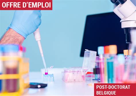 Postdoctoral Researcher Position • Sitetitlenouvelle Aquitaine