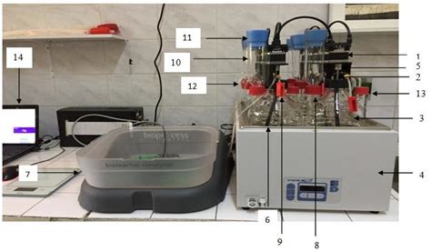 experimental bioreactor formed by following components download