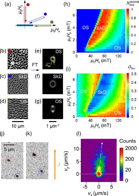 Various Magnetic Domain Structures Formed By External Magnetic Fields