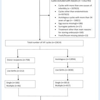 Data Selection Process Download Scientific Diagram