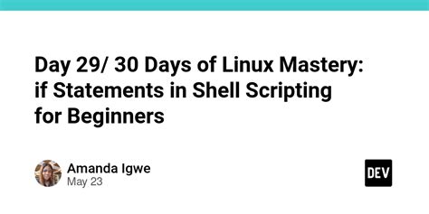 Day 29 30 Days Of Linux Mastery If Statements In Shell Scripting For Beginners Dev Community