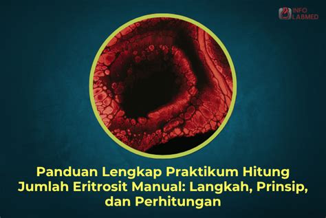 Panduan Lengkap Praktikum Hitung Jumlah Eritrosit Manual Langkah Prinsip Dan Perhitungan