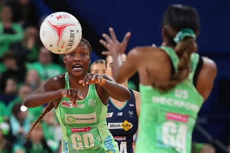 Fever Fire Past Vixens Au