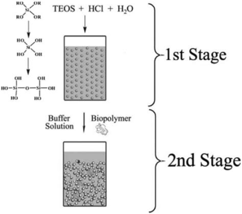 Illustration Of The Sol Gel Process In The Synthesis Of Open I