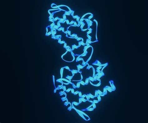 Apoaequorin An In Depth Look At Its Claims Reality And Effects CogniFit Blog Brain Health News