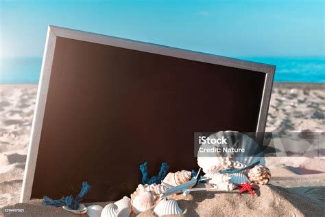 여름 패턴 배경 불가사리 조개 장난감 비행기 및 바다 자연 해변의 칠판 근처 지구 여름 방학 휴가 컨셉의 디자인 검은색에 대한 스톡 사진 및 기타 이미지 Istock