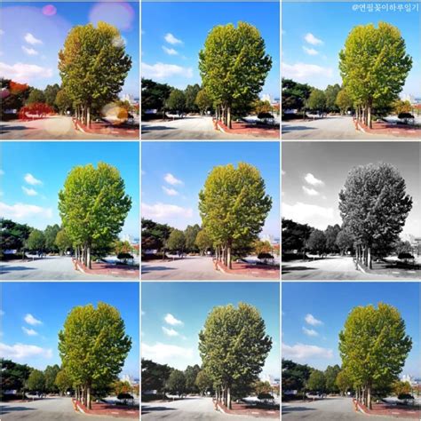 한밤에 읽는 짧고 좋은 글귀꿈꾸는 사람들이 필요하다짧은명언 인생and행복명언 인간관계명언 독서명언 네이버 블로그