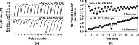 Exemplary Ecap Responses Panel A And Normalized Ecap Amplitude Download Scientific Diagram