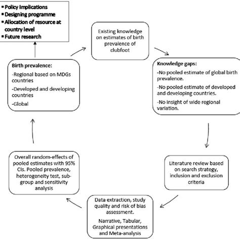 conceptual framework of systematic review and meta analysis for birth