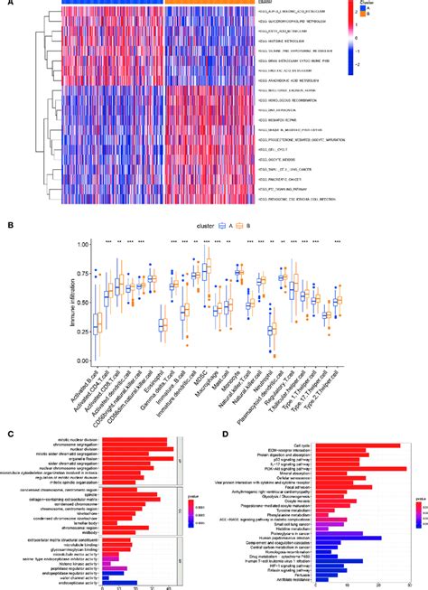 Correlations Of Tumor Immune Cell Microenvironments And Two Luad