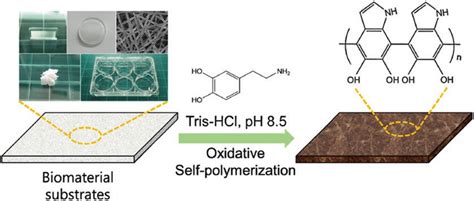 4 Polymerization Of Dopamine At Ph 8 5 [41] Download Scientific Diagram