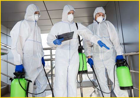 Professional Fumigation Services In Karachi Safe And Effective ®️