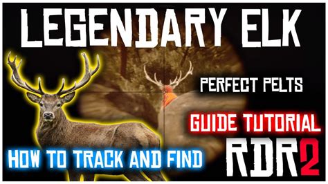 Best Way To Get Perfect Elk Pelt Rdr2 At Oscar Godson Blog