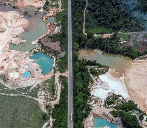 Mining Impacts Affect Up To 13 Of Global Forest Ecosystems And Tipped To Rise With Increased