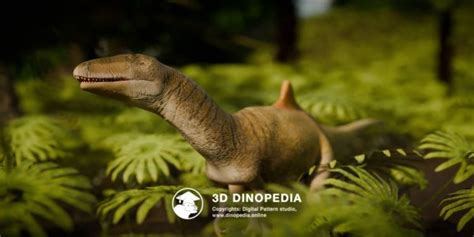 Concavenator 3d Dinopedia