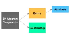 Er Diagram Components Testingdocs Com