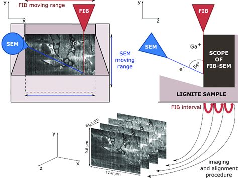 The Principle Of Cryo Fib Sem Tomography Download Scientific Diagram