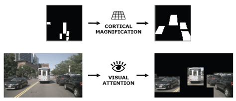 Occupancy Grid Mapping With Cognitive Plausibility For Autonomous Driving Applications Julian