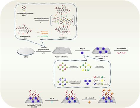 Illustration Of The Electrochemical Aptasensor Construction And The
