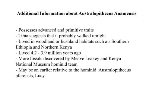Australopithecus Anamensis Tibia