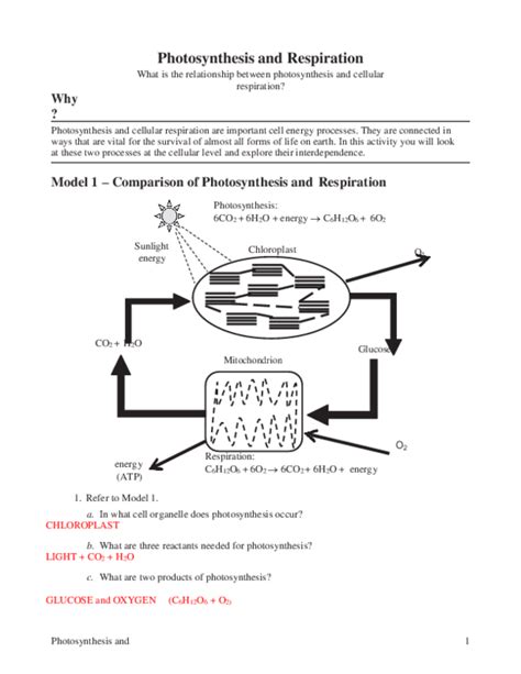 Pogil Photosynthesis Answer Key Lesson Plan Modeling Photosynthesis