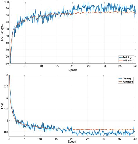A Pyramid Deep Feature Extraction Model For The Automatic Classification Of Upper Extremity