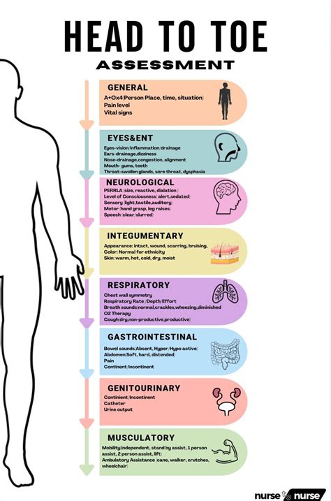 Head To Toe Assessment Reference Card Etsy