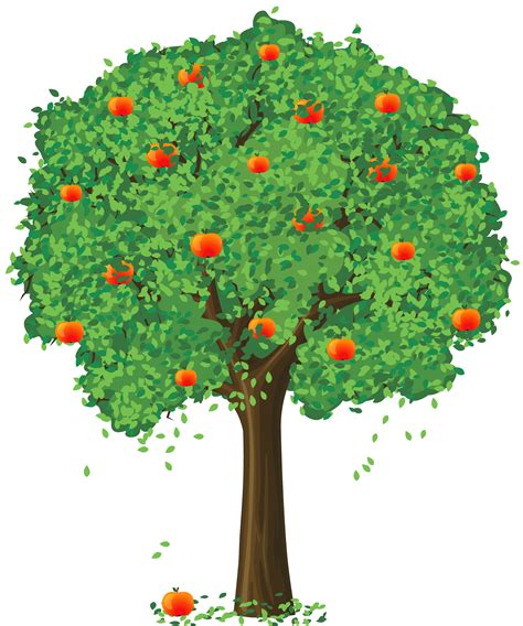 Tangerine Tree Clipart Clipground